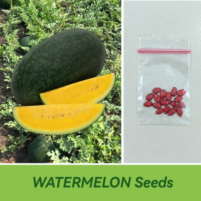 WATERMELON Seeds - Sugar Deluxe F1 | Shopee Philippines