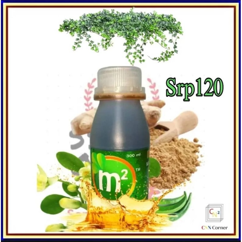 M2 Malunggay Okra Luya Concentrate Tea Drink 300ml | Shopee Philippines
