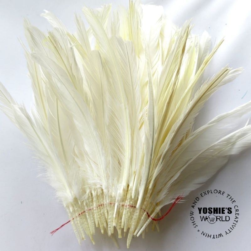 30 grams CHICKEN Balahibo Feather PAKPAK for DIY crafting decorations ...