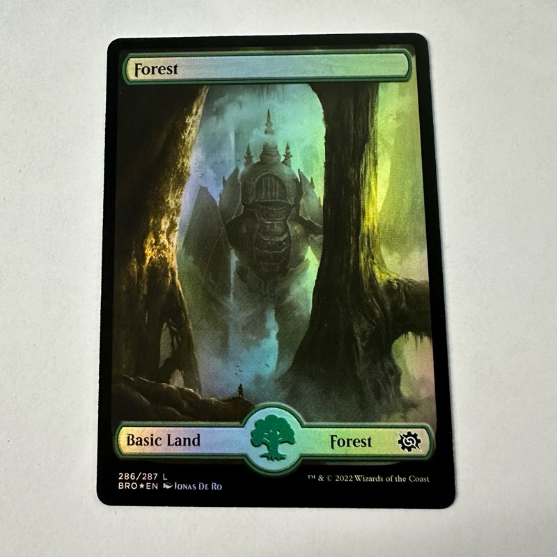 PLAINS ISLAND SWAMP MOUNTAIN FOREST | BRO THE BROTHERS’ WAR | BASIC ...