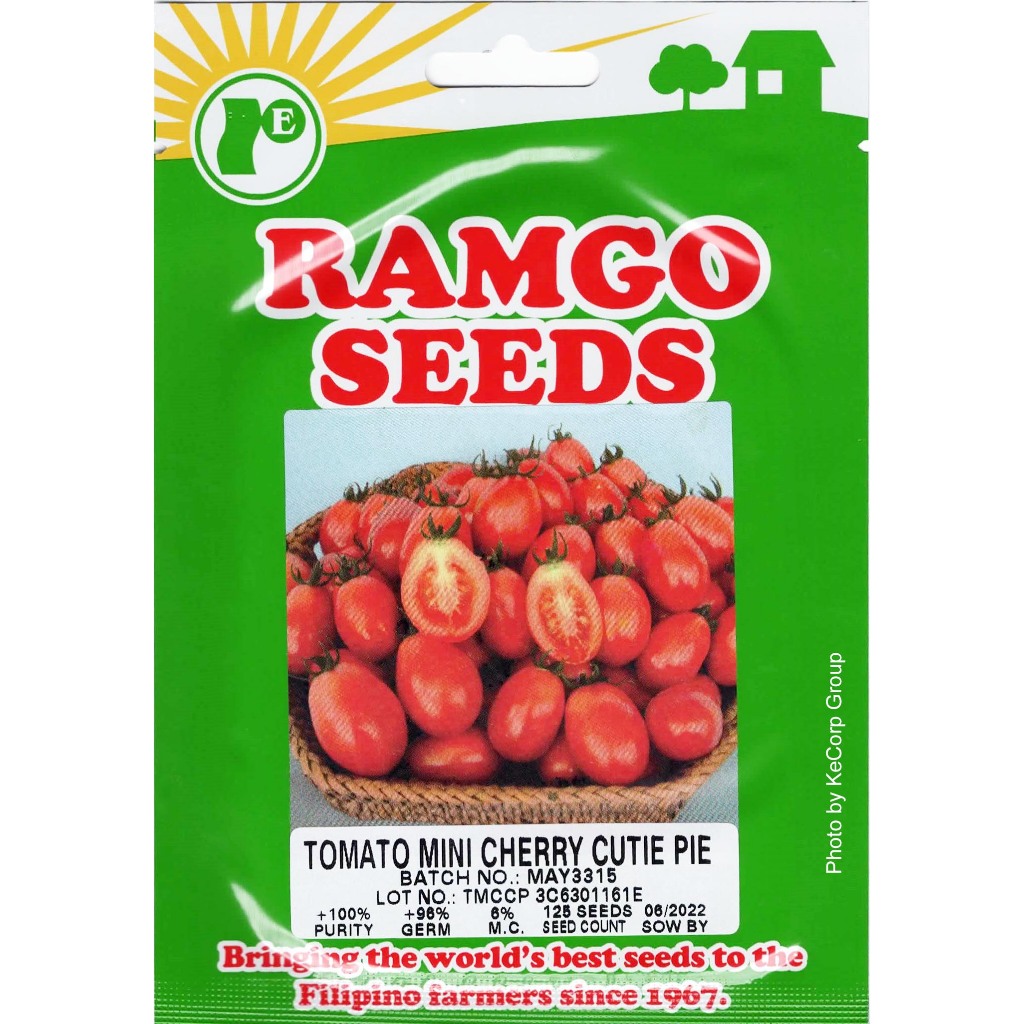 Ramgo Seeds - Pechay Pakchoi Eggplant Ampalaya Patola Upo Sitao Okra ...