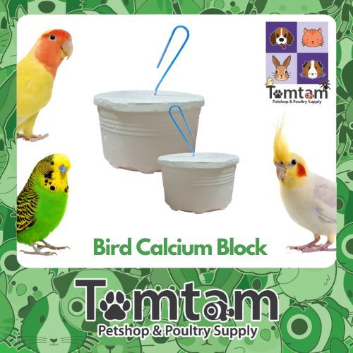 Bird Calcium Mineral Parrot Accessories | Shopee Philippines