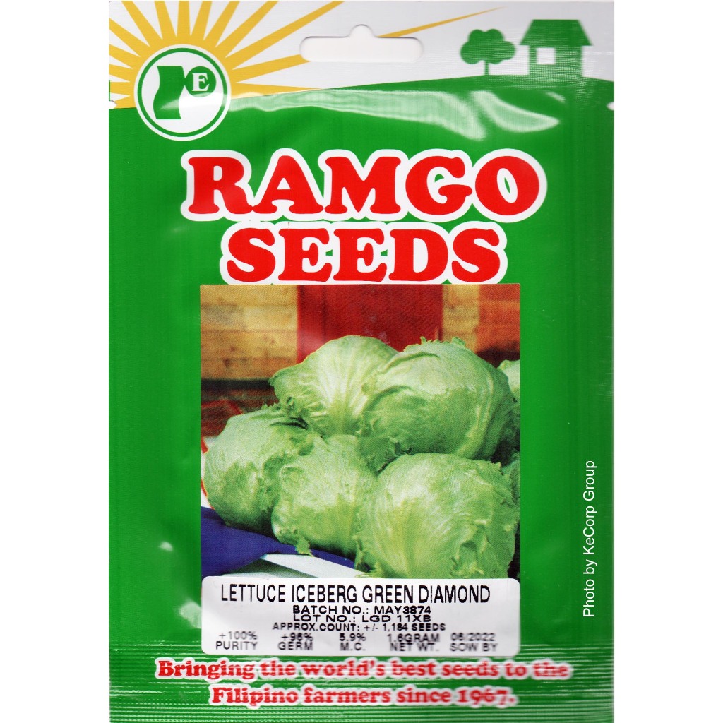 Ramgo RPD LETTUCE ICEBERG GREEN DIAMOND Seeds 1.6 gram KECORP_S1 ...