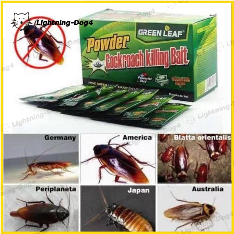 1BOX/50Pcs Effective Green Killer Powder Cockroach Killing Bait ...