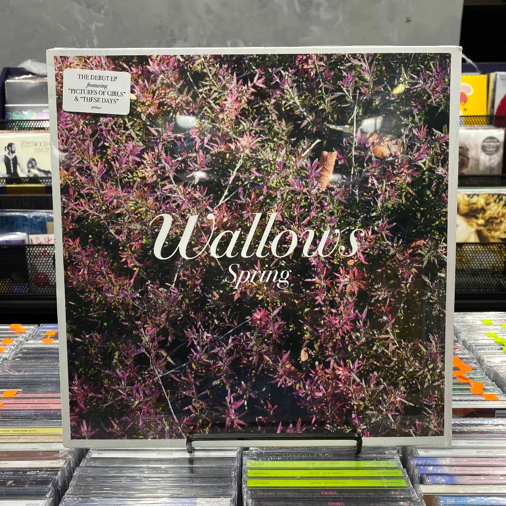 WALLOWS Spring EP Pink/Green Vinyl | Shopee Philippines