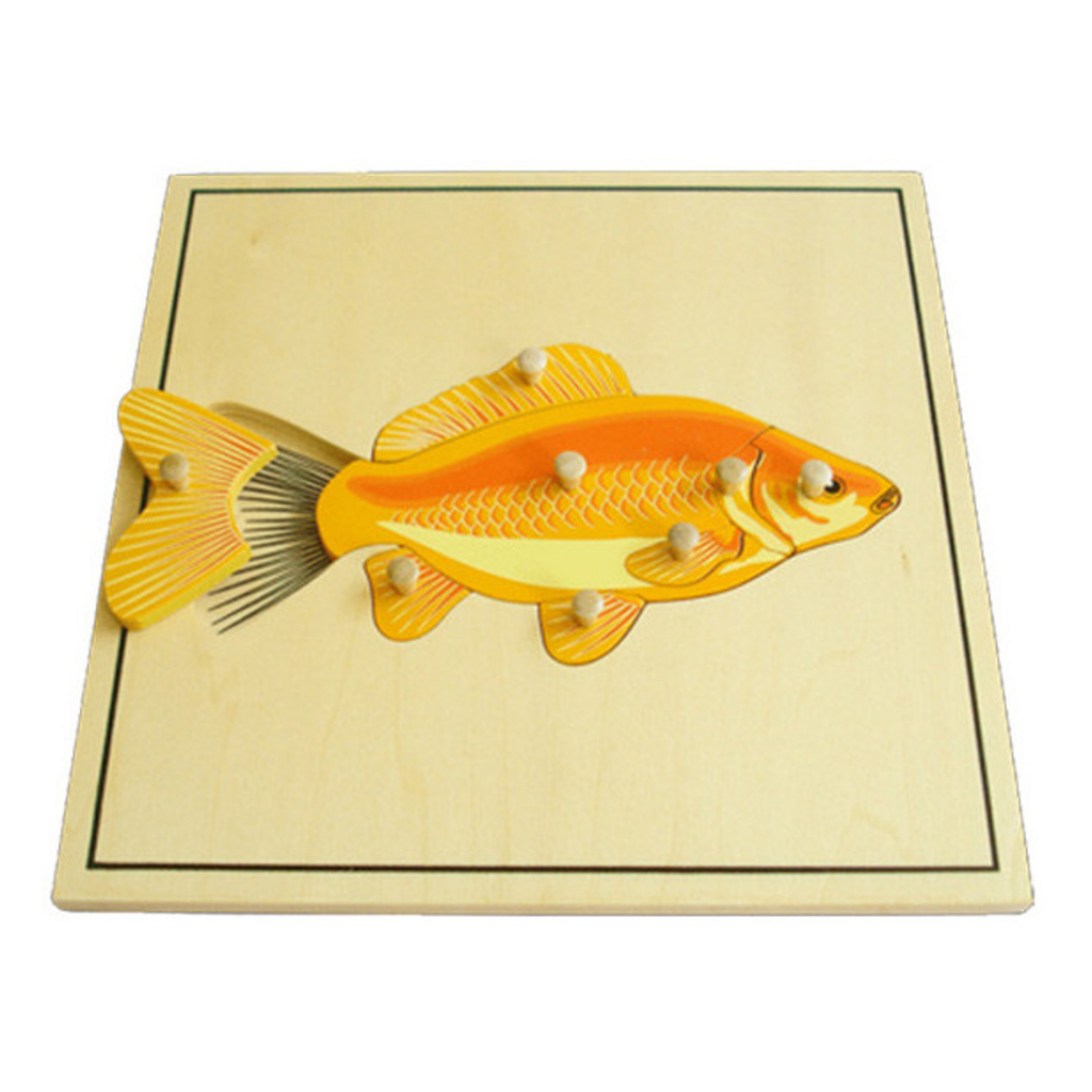 Montessori Fish Puzzle Skeleton -Fine motor Skills-Planet Montessori ...