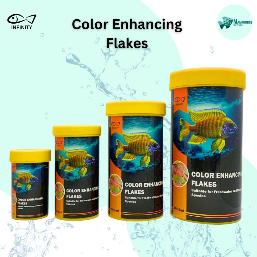Infinity Color Enhancing Flakes for Cichlid Tropical Fish Food | Shopee ...