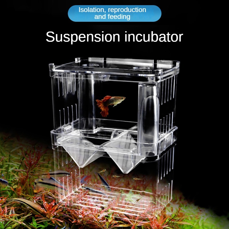 Fish Tank Isolation Box Transparent Acrylic Fish And Shrimp Delivery ...