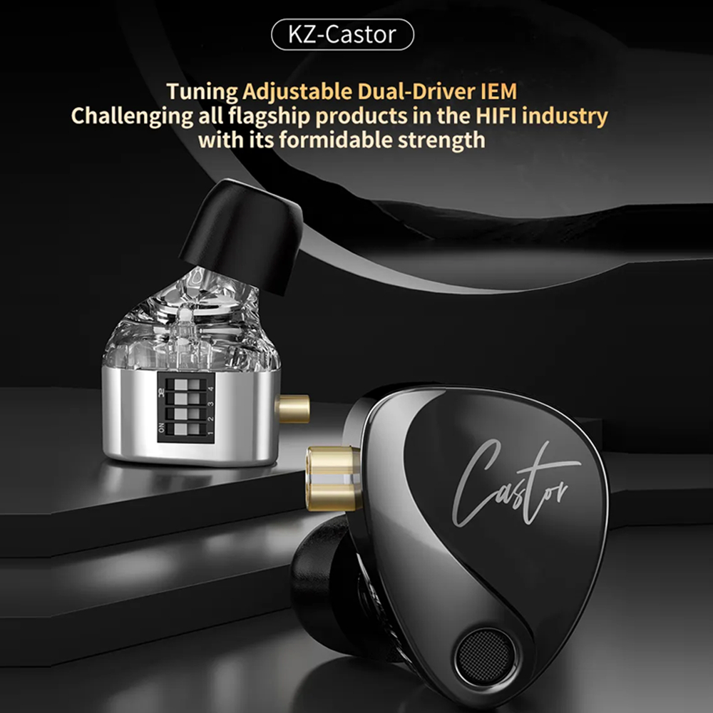 KZ Castor In-Ear Headphones Dual Dynamic 2DD Hi Fi Headset With Mic ...