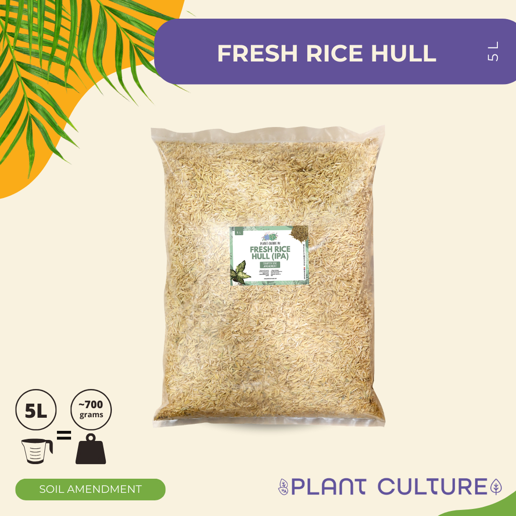 Fresh Rice Hull Ipa 5 Liters Best for Plants, Gardening, Ornamental ...