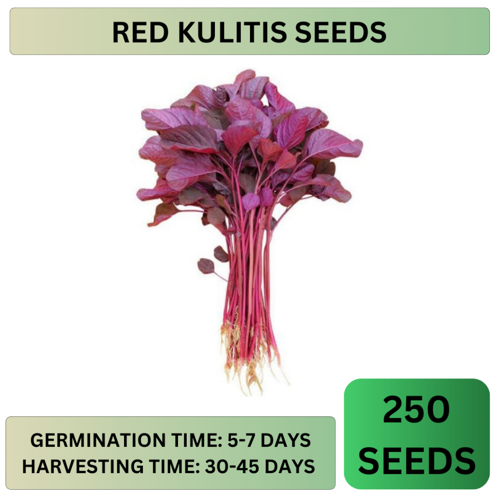 (SET 2) SULIT PACK! VEGETABLE SEEDS! (Pechay Tomato Mustasa Talong ...