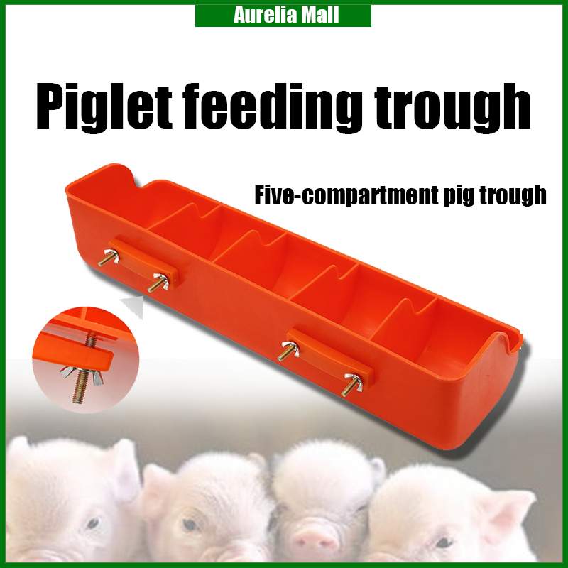 Piglet Trough Piglet Feeding Trough Plastic Piglet Trough Plastic ...