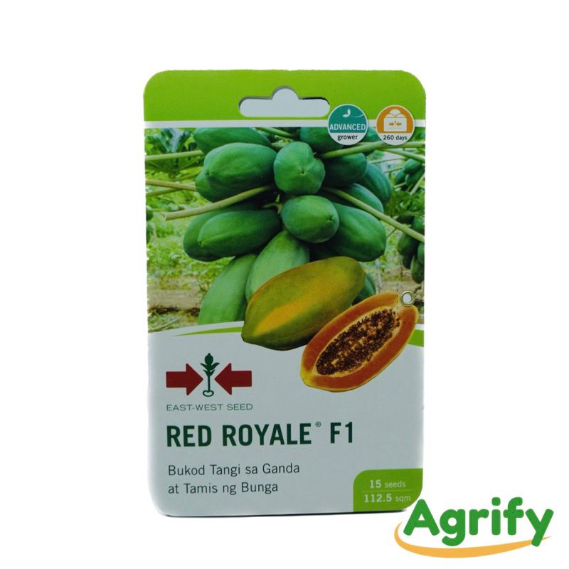 Red Royale F1 EastWest Papaya Seeds | Shopee Philippines