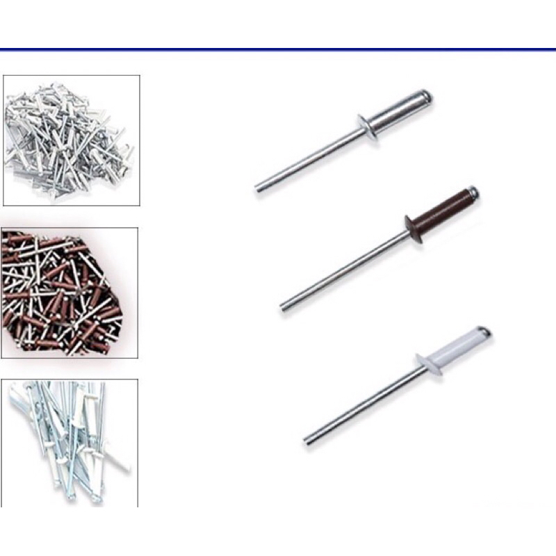 Blind Rivet Brown and white 1/8x1/2" & 5/32x1/2" with COLOR | Shopee ...