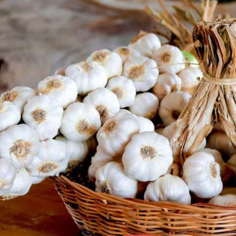 Native Ilocos Garlic Bawang Native Organic Minced Garlic | Shopee ...