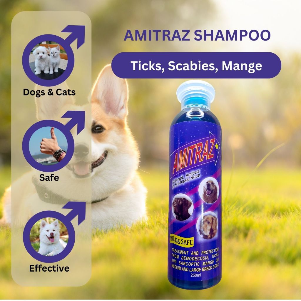 AMITRAZ Shampoo 250 ml Mild and Safe | Shopee Philippines