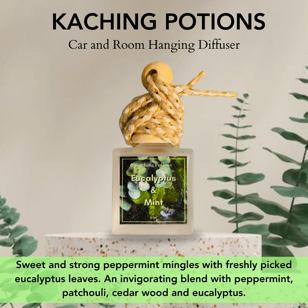 Eucalyptus and Mint Fragrance Hanging Diffuser (Car and Room Freshener ...