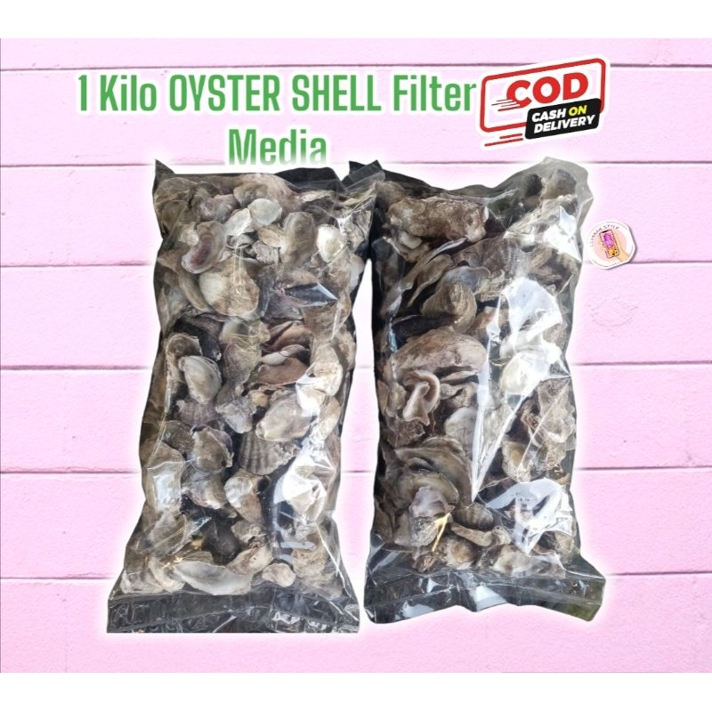 Oyster shell media Filter (TALABA SHELL) - 1 kilo | Shopee Philippines