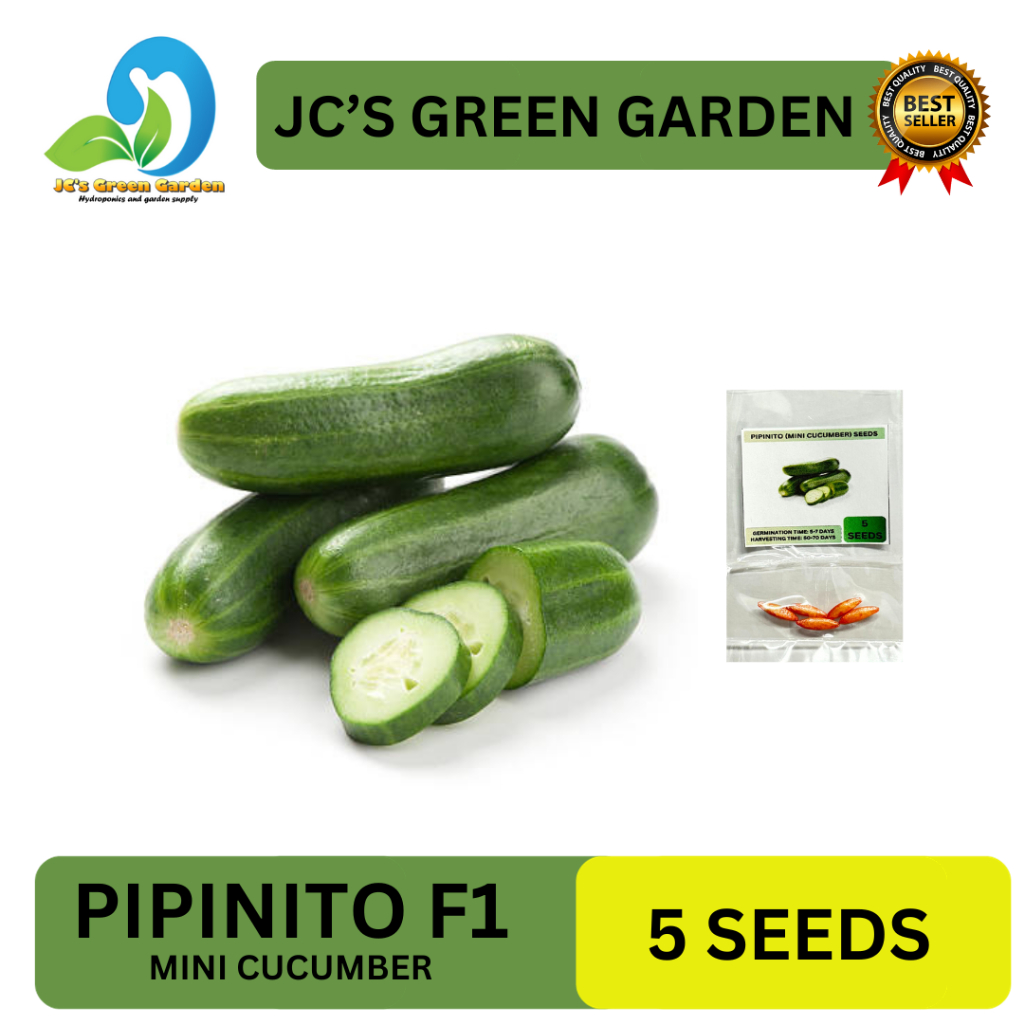 VALUE PACK (5 SEEDS) - OPV PIPINITO F1 SEEDS/MINI PIPINO/EASY TO GROW ...