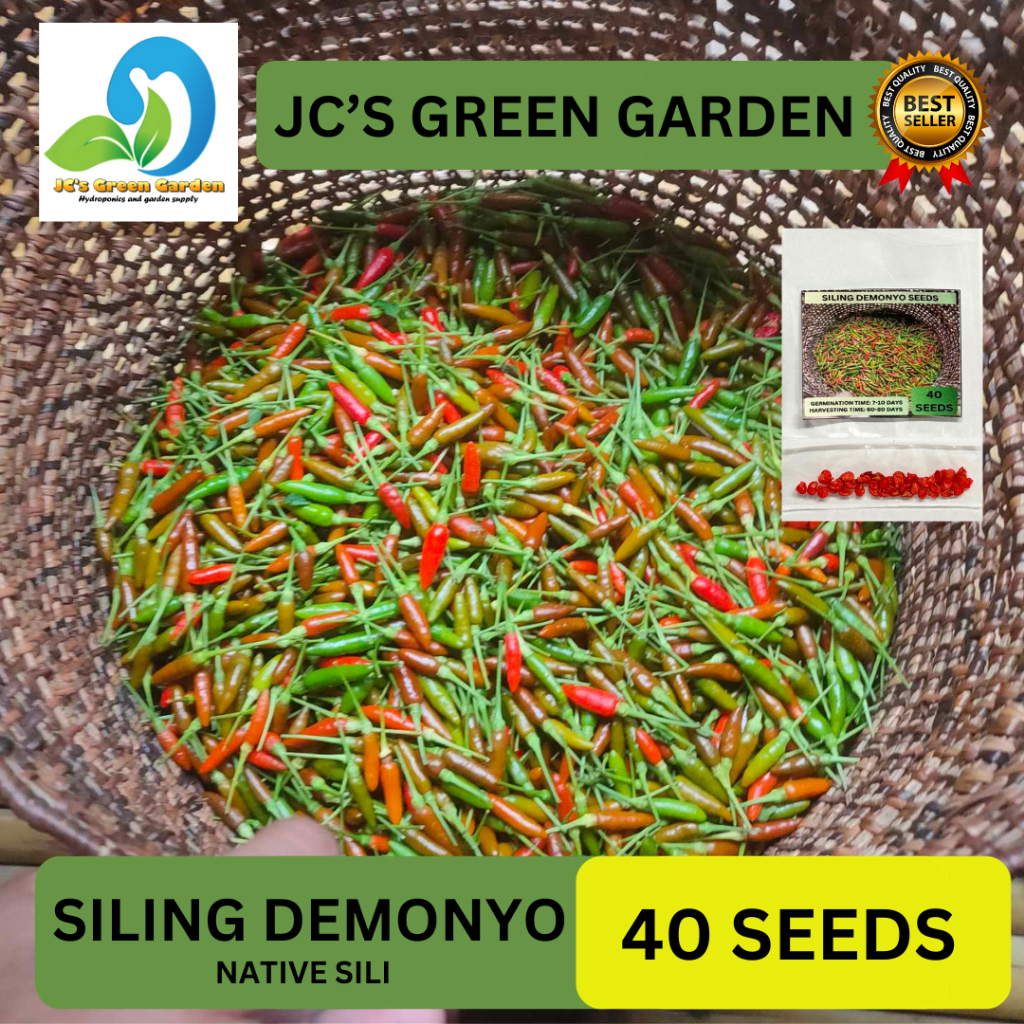 VALUE PACK (40 SEEDS) - SILING DEMONYO/NATIVE/SUPER HOT/FAST GROWING ...