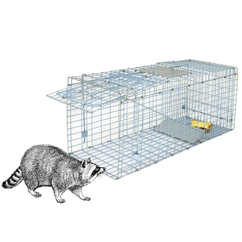 Feral Cat Trap - Foldable and Effective Cat Catcher | Shopee Philippines