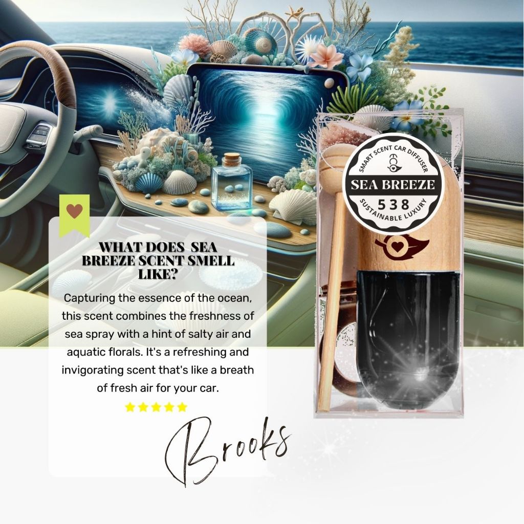 SEA BREEZE Car Hanging Diffuser Vent Clip Smart Scent Provides Long ...