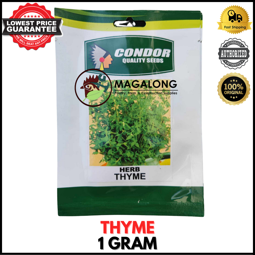 CONDOR SEEDS - HERB - THYME - 1 GRAM | Shopee Philippines