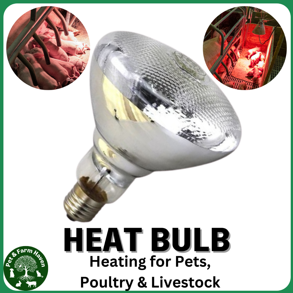 100W Brooder Light - Heat Lamp for Newborn Pigs, Chicks & Puppies ...