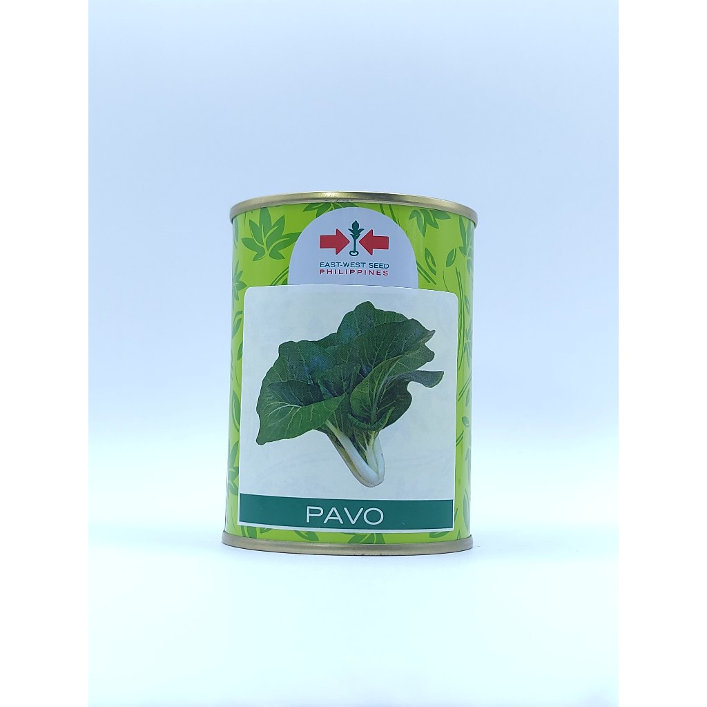 EAST-WEST SEED PAVO OPV PECHAY SEEDS BLACK BEHI TYPE PETCHAY SEEDS CAN ...