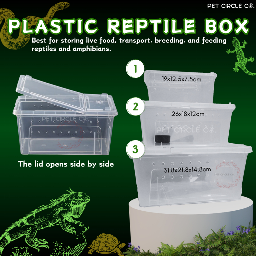 Plastic Reptile Box Amphibian Insect Reptile Breeding Box Transport ...