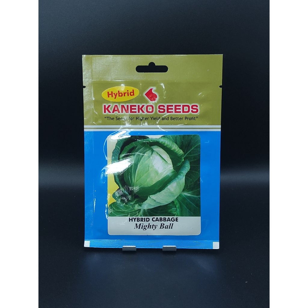 KANEKO SEEDS MIGHTY BALL F1 HYBRID CABBAGE SEEDS (1 GRAM) | Shopee ...