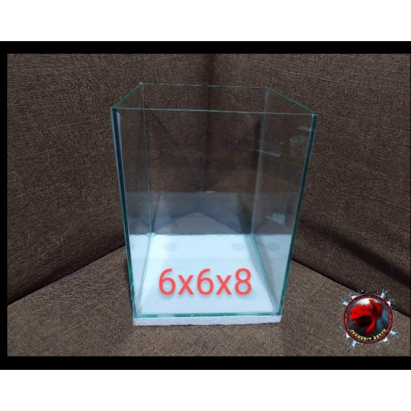 Betta Tank 6x6x8 for Betta Fish | Shopee Philippines
