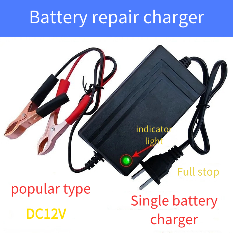 12v universal lead-acid battery motorcycle battery charger Pedal ...