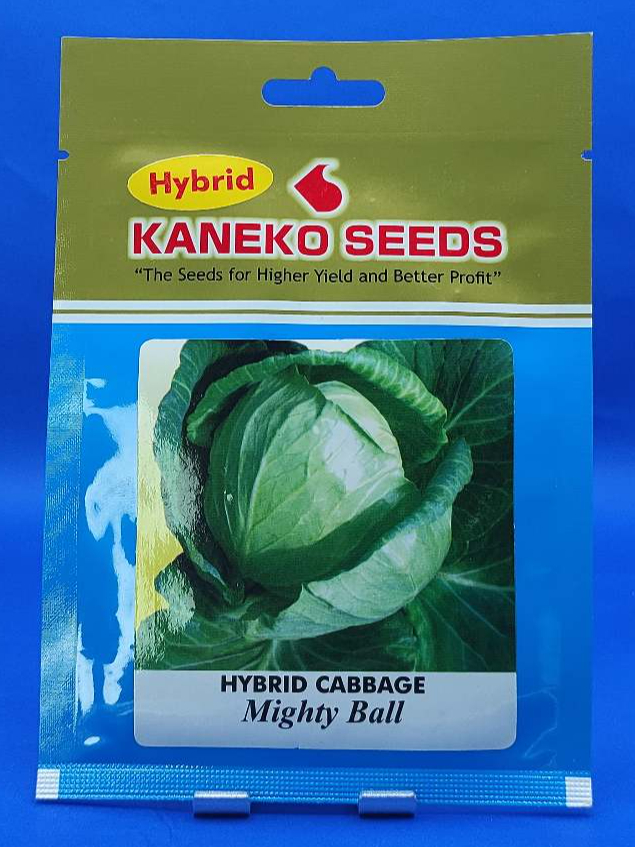 KANEKO SEEDS MIGHTY BALL F1 HYBRID CABBAGE SEEDS (1 GRAM) | Shopee ...