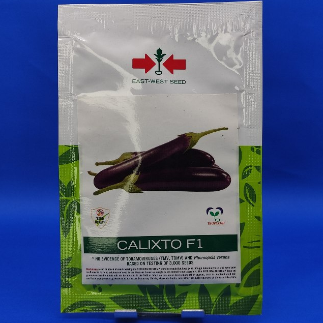 EAST-WEST SEED CALIXTO F1 HYBRID EGGPLANT SEEDS ASENSO PACK (875 SEEDS ...