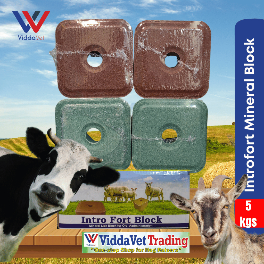 VitalGoat Mineral Block - Premium Supplement for Stronger Goats Mineral ...