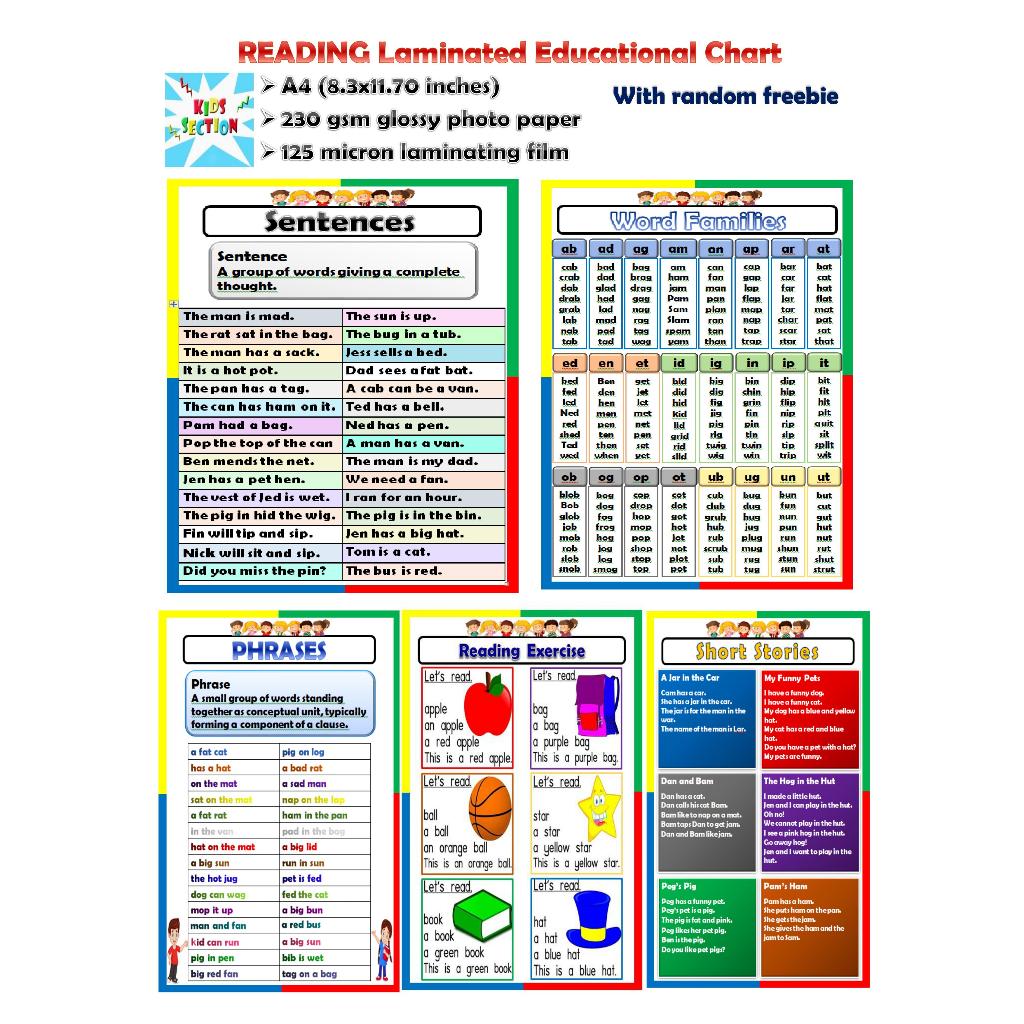Laminated Educational Chart - Reading Category - A4 - with random ...