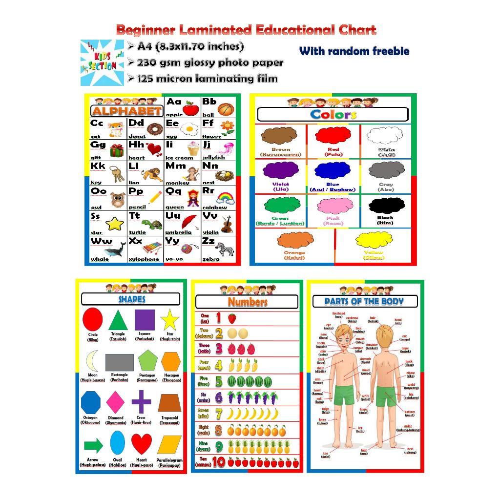Laminated Educational Chart - Beginner Category - A4 - with random ...