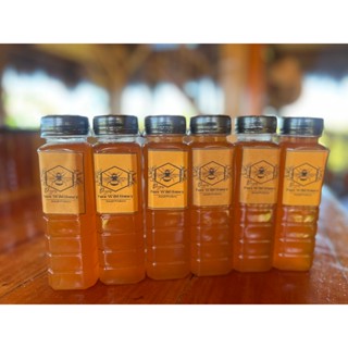 Pure Wild Honey - Dugos (100% Authentic) 200 ML | Shopee Philippines