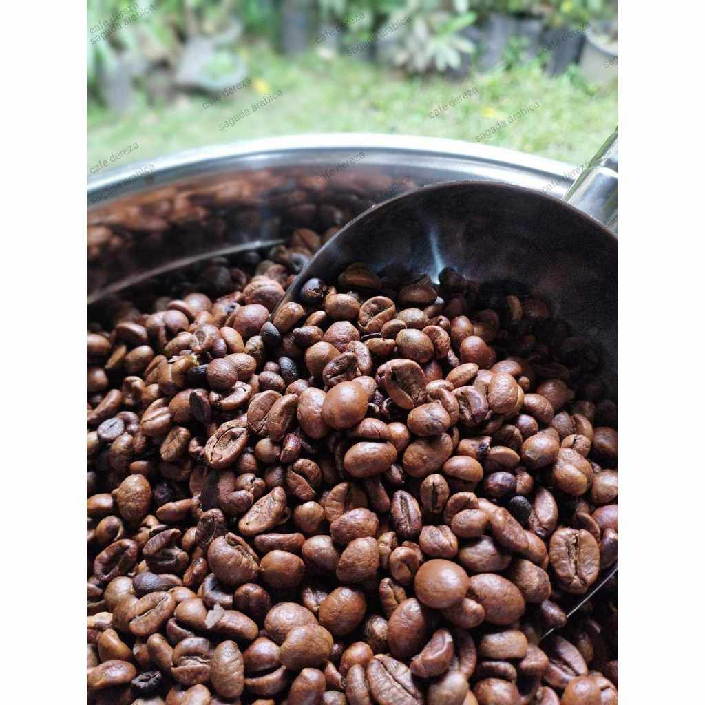 1 KILO SAGADA ARABICA- BEANS/ GROUNDS | Shopee Philippines