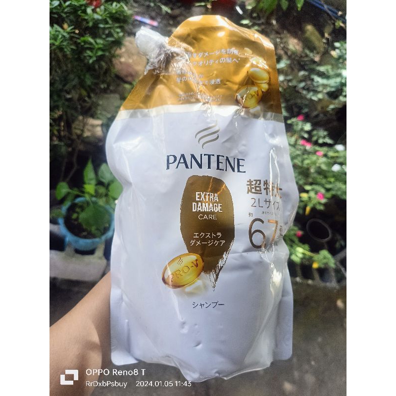 Pantene Shampoo 2000ml | Shopee Philippines