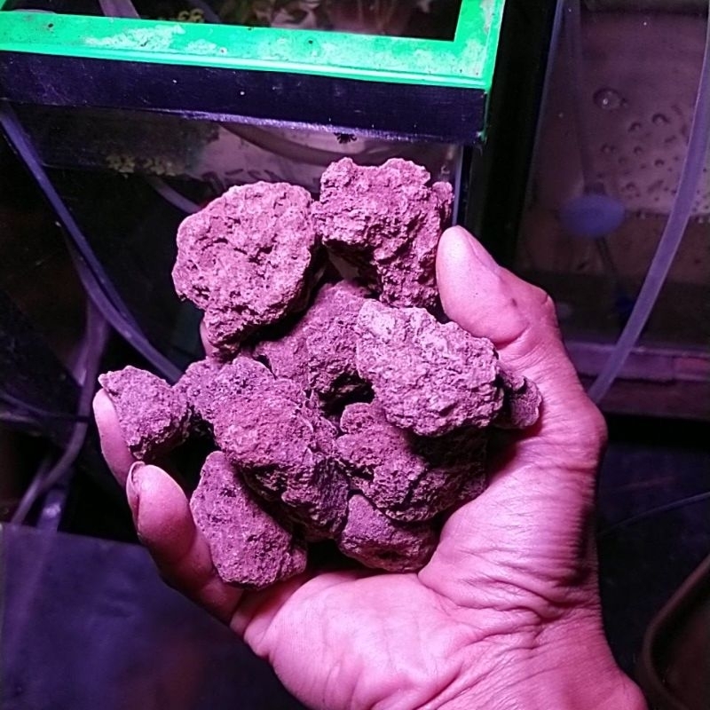 Lava rocks Substrate for your monster fish tank and other ornamental ...