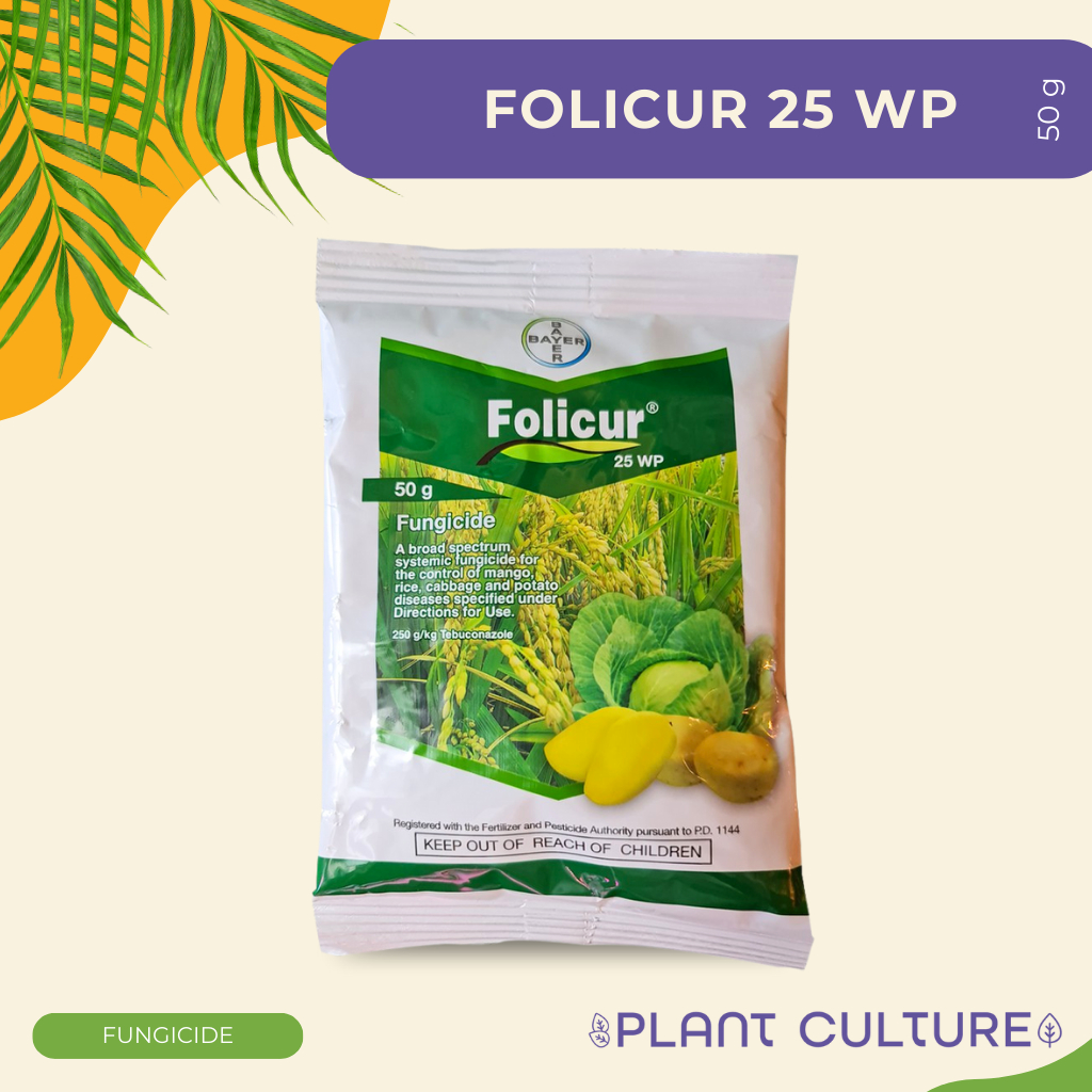 Folicur 25Wp Broad Spectrum Systemic Fungicide 50 Grams Bayer | Shopee ...