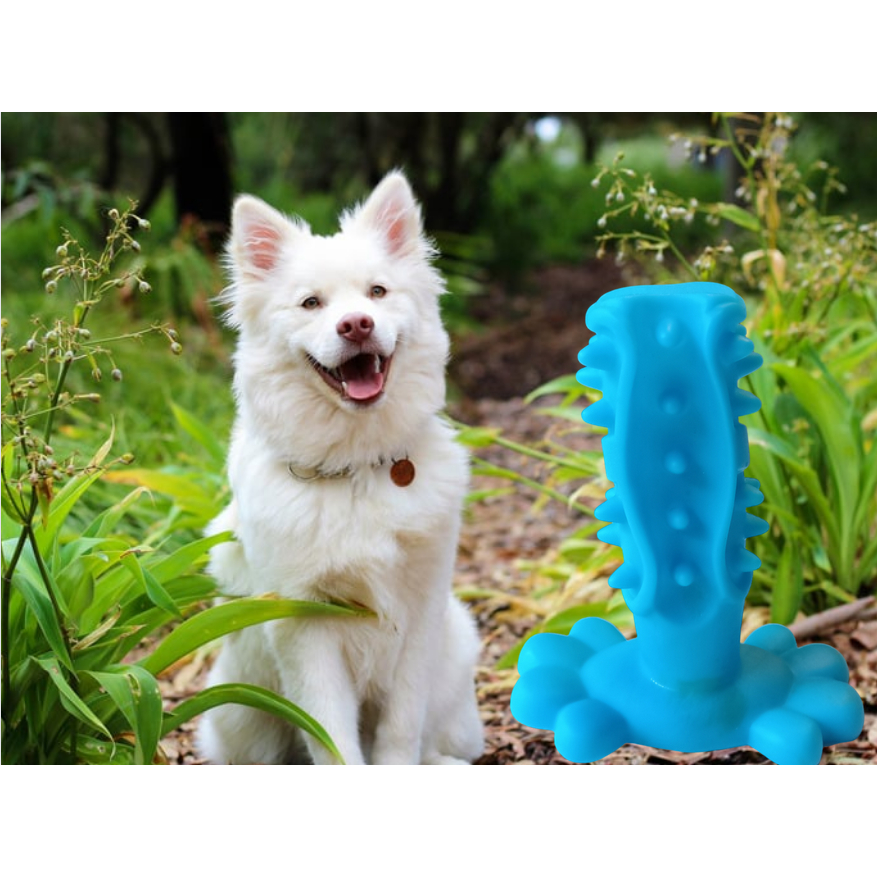 Dog Toothbrush Brushing Stick Tooth Effective for Dogs Hygiene Brushing ...