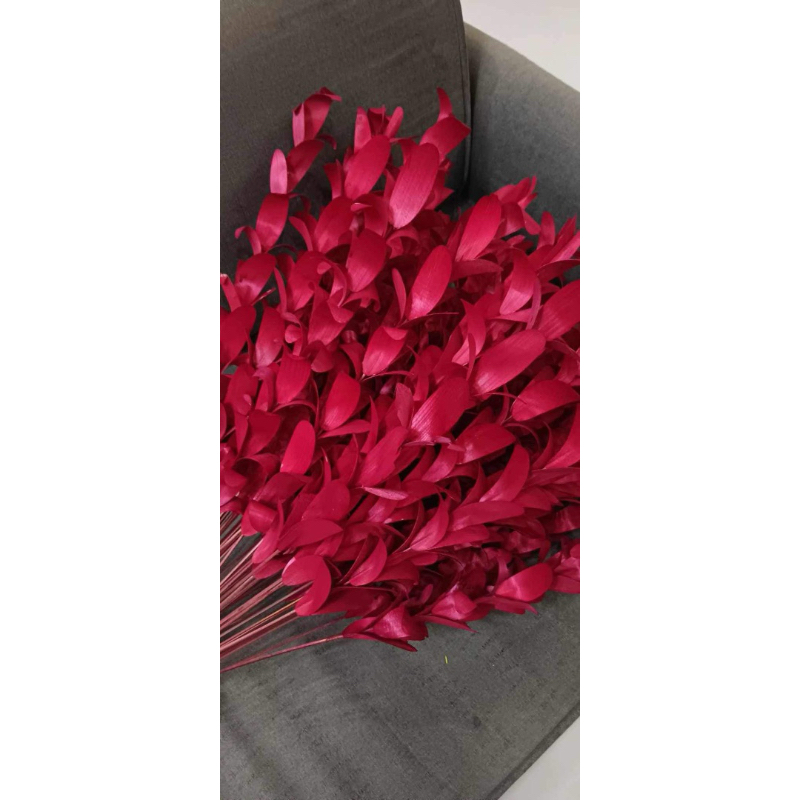Kinayas Colored long 13inch - 100pcs | Shopee Philippines