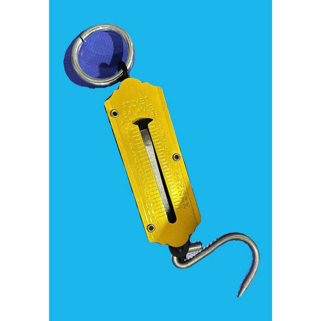 Baby Scale Spring Balance | Shopee Philippines