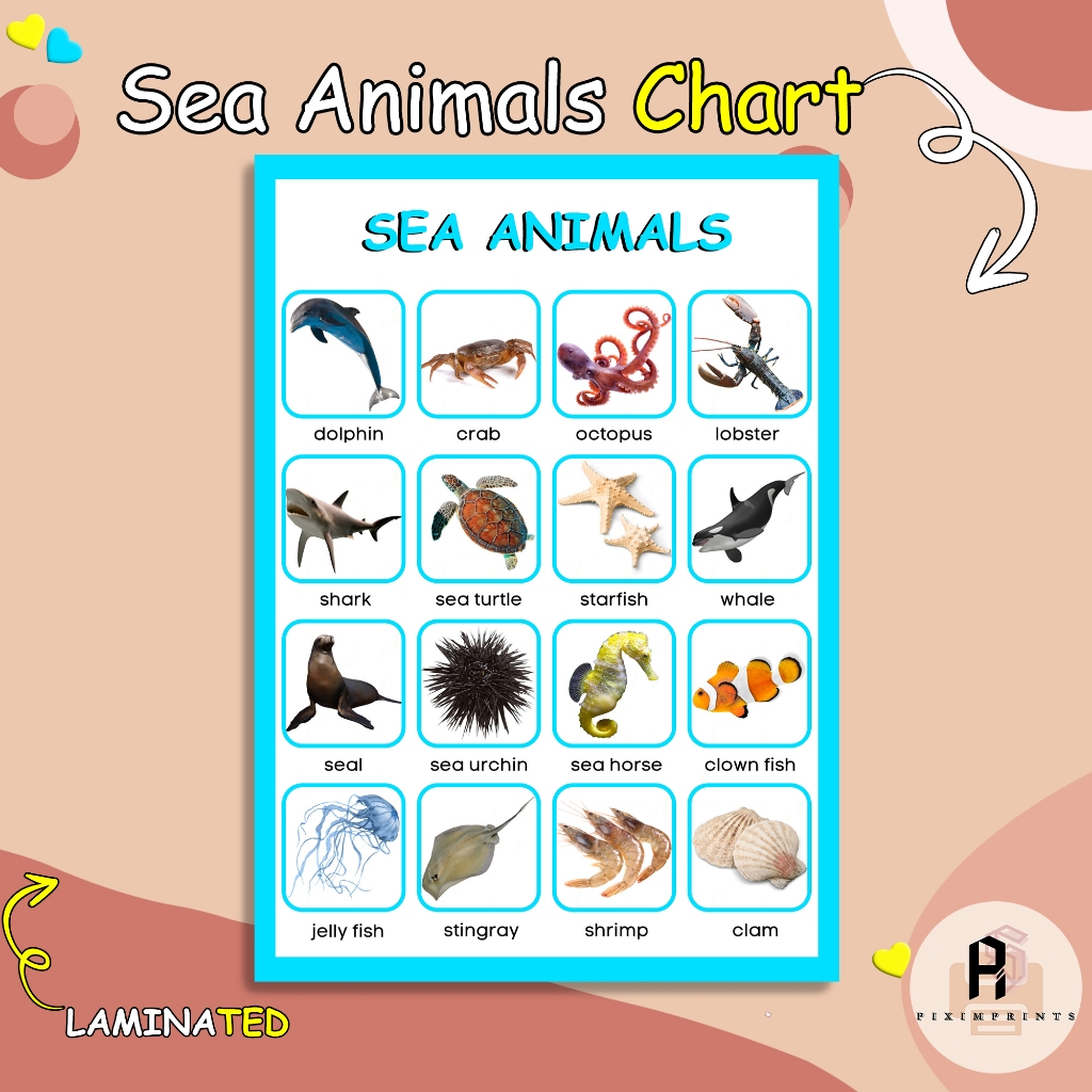 Sea Animals Chart Learning Materials for Kids (Laminated) | PiXimprints ...