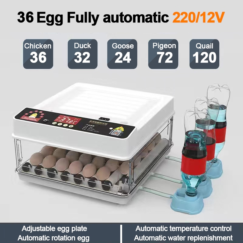 220V/12V Eggs Incubator Digital Automatic Egg Incubator Fully Automatic ... 220V/12V Eggs Incubator Digital Automatic Egg Incubator Fully Automatic ...