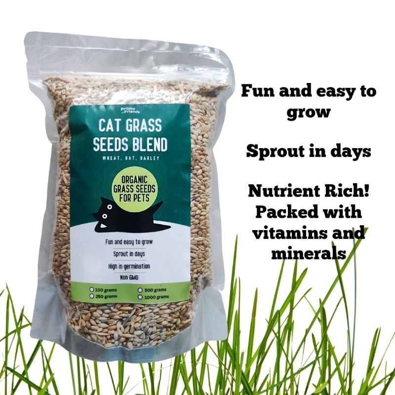 Pet Grass Seeds / Cat Grass Seeds (Barley, Wheatgrass, Oat) | Shopee ...