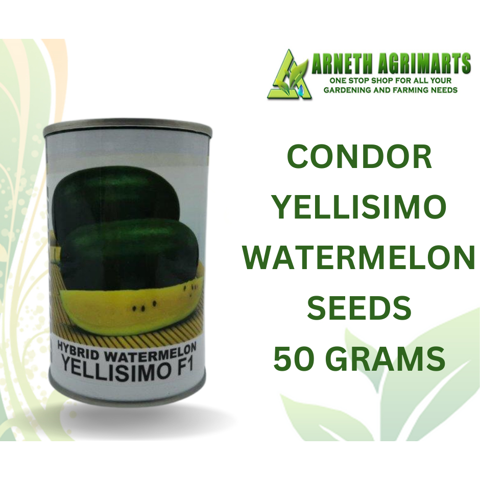 ARNETH CONDOR YELLISIMO WATERMELON SEEDS ( 50 GRAMS CAN ) | Shopee ...